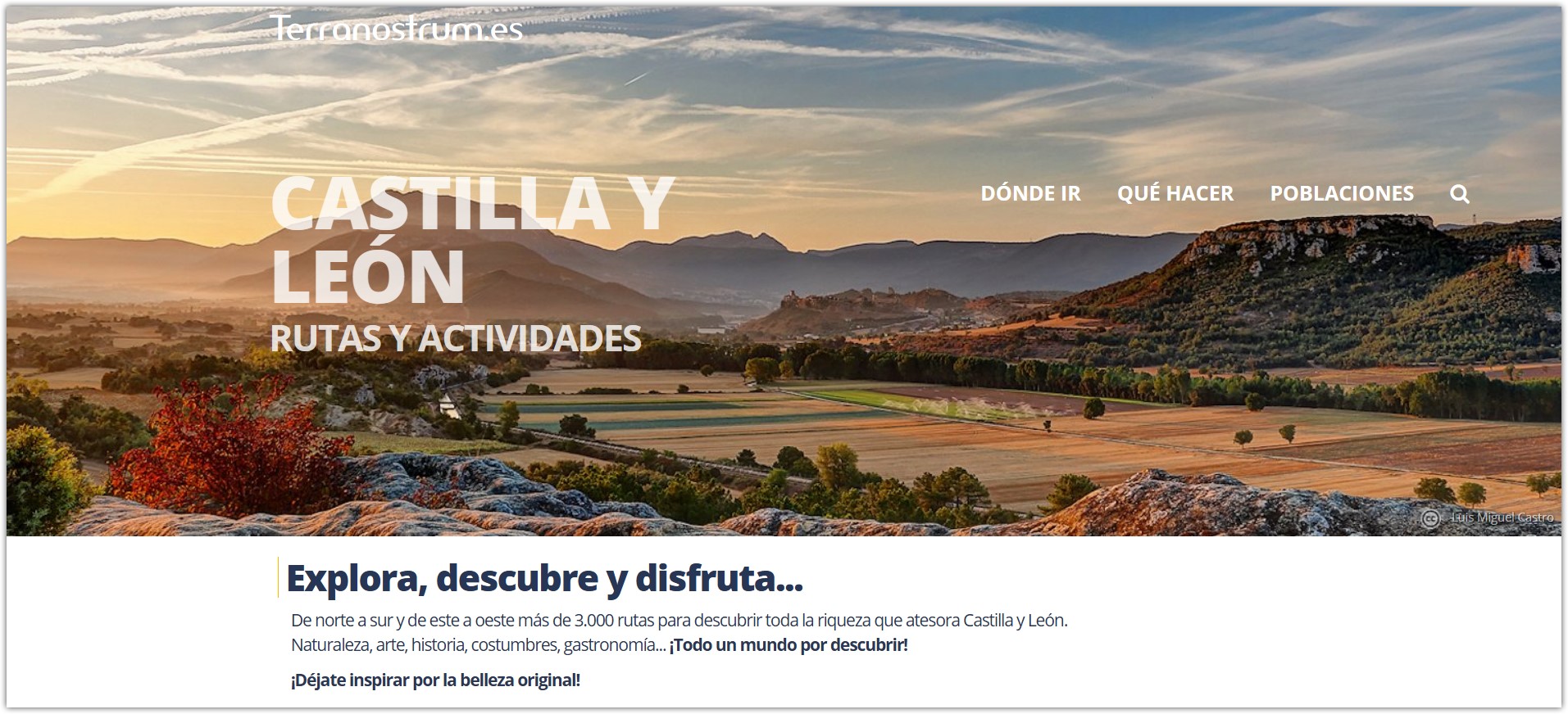 Cómo crear la estructura de una landing page efectiva
